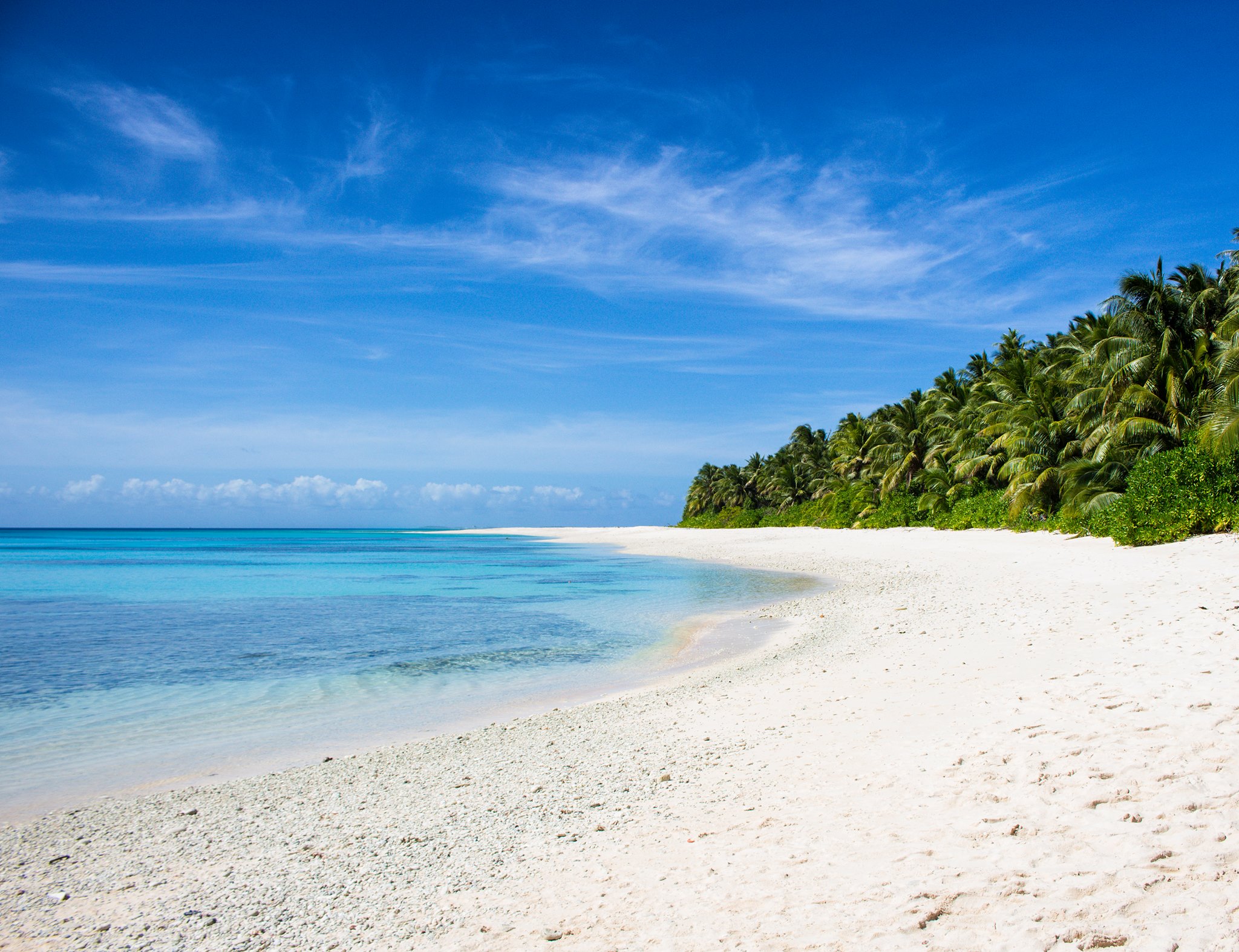 Pre-Medicine Students – Nash A.K. Witten, MD