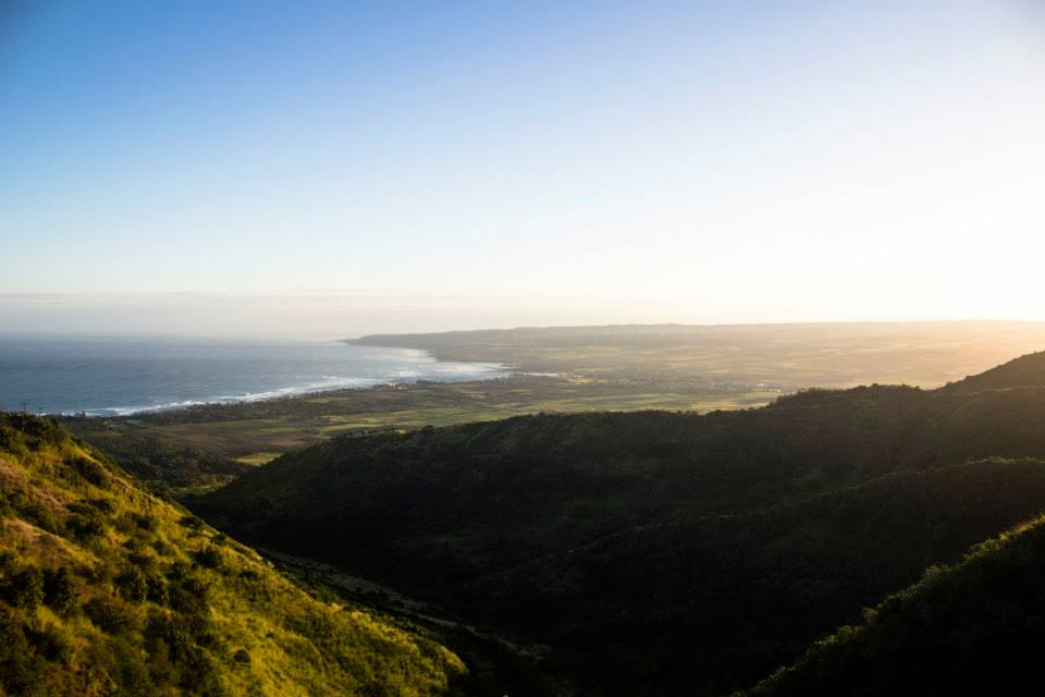 Medicine – Nash A.K. Witten, MD