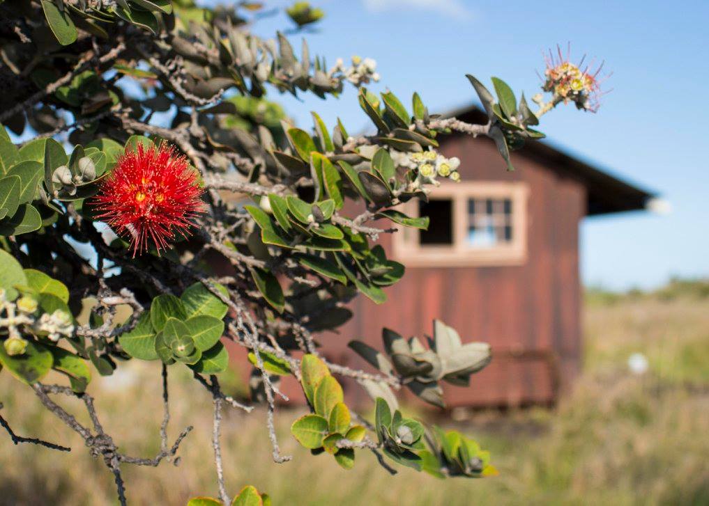 Nash A.K. Witten, MD – Family Medicine in Hawai'i