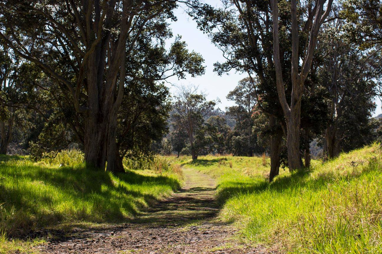 Patients – Nash A.K. Witten, MD