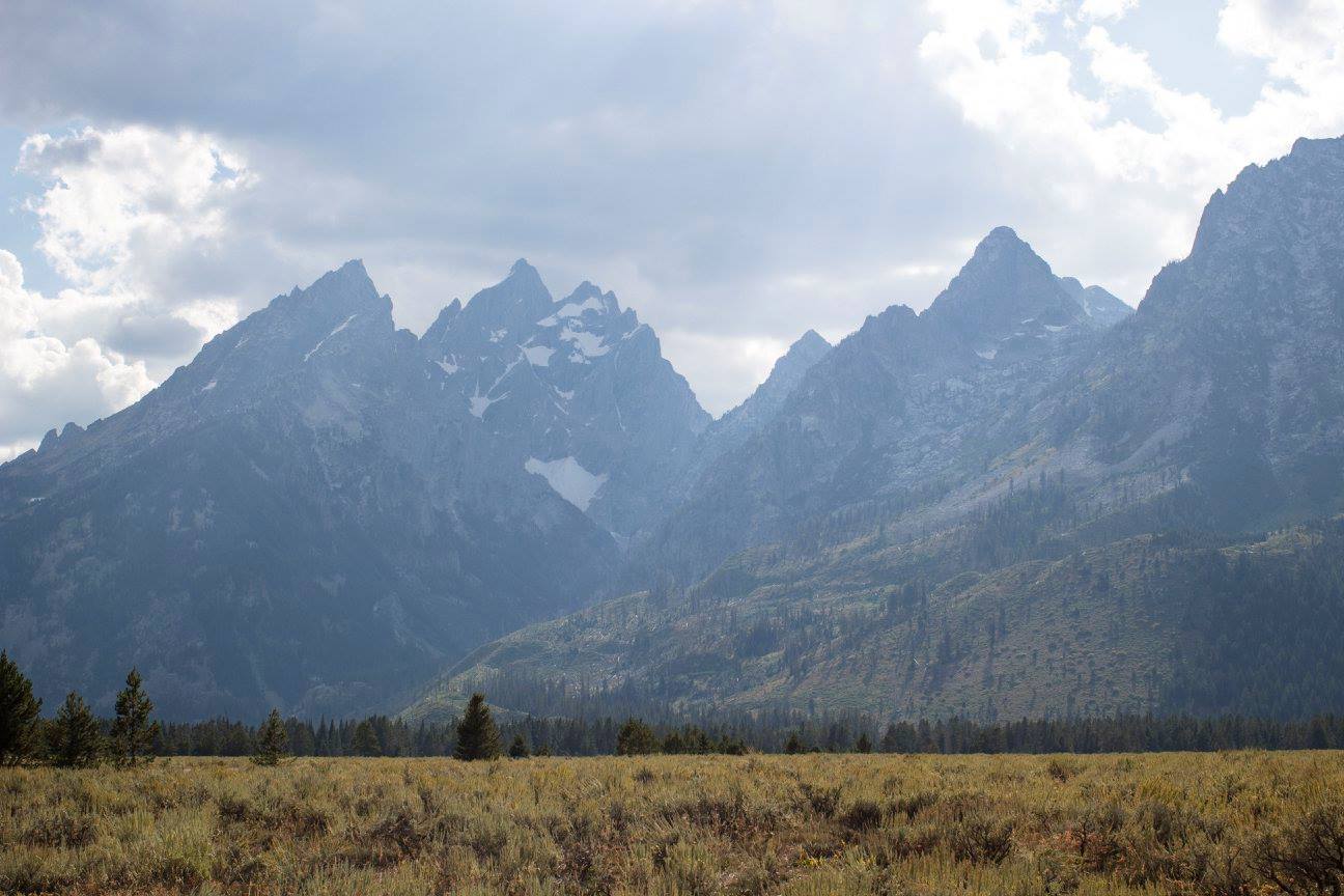 Medical Students – Nash A.K. Witten, MD