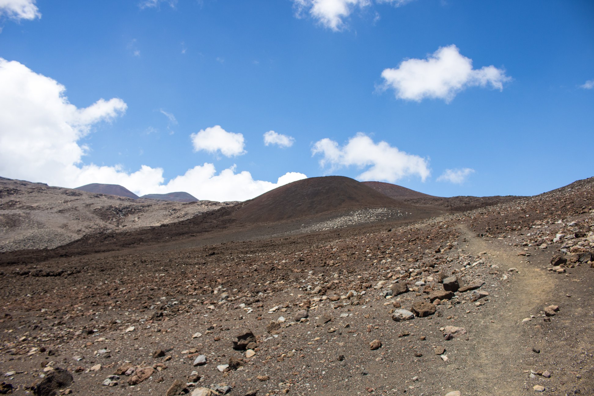 Research & Publications – Nash A.K. Witten, MD