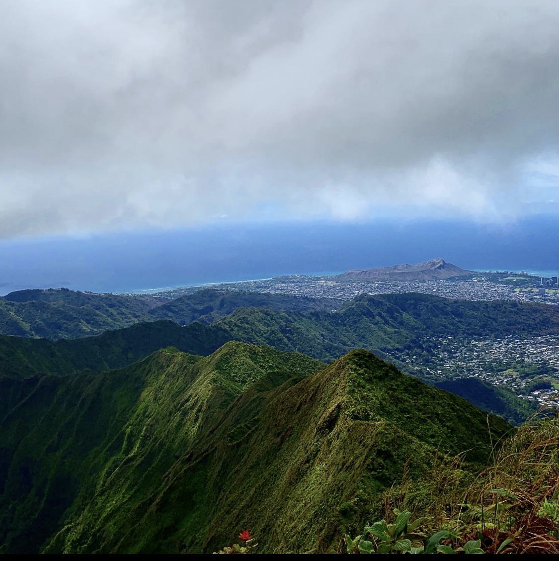 National Health Service Corps – Hawai’i – Nash A.K. Witten, MD